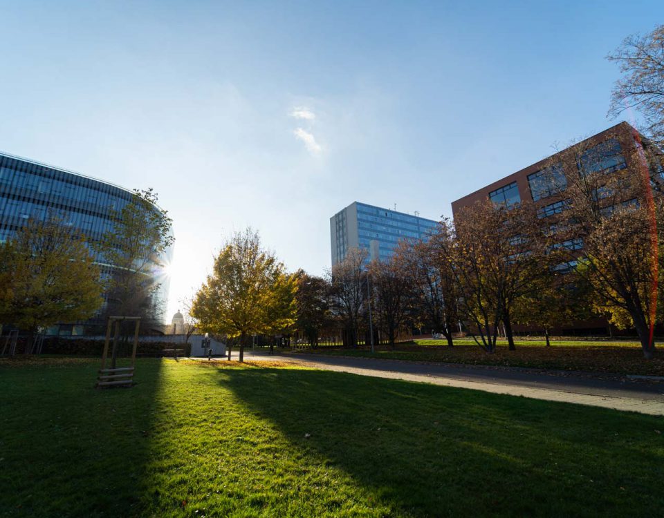 Kampus Dejvice